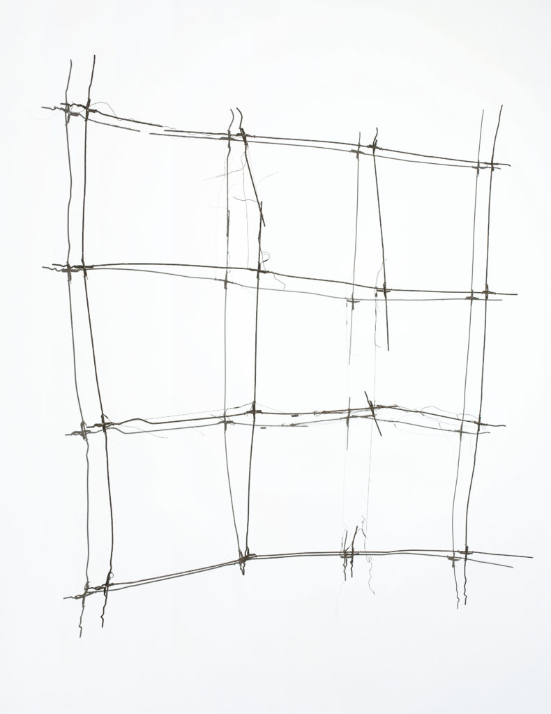 GEGO | Juan Carlos Maldonado Collection
